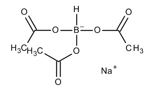 Sodium triacetoxyborohydride CAS 56553-60-7 | 843705